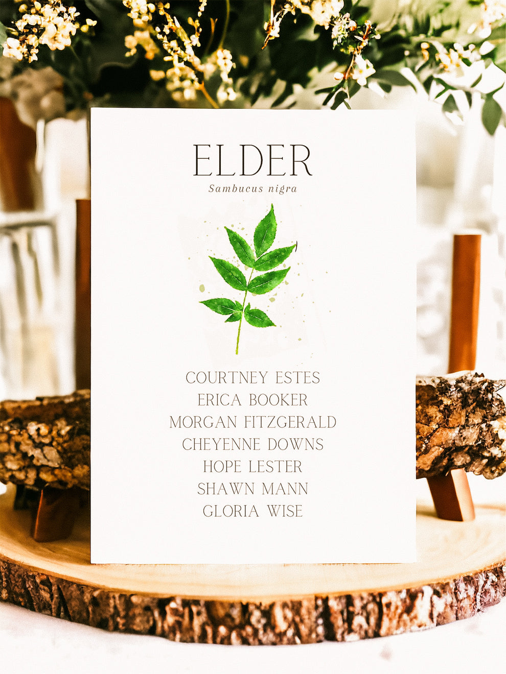 British Tree Leaf Table Name Lists – The Pleasant Pheasant Design Co